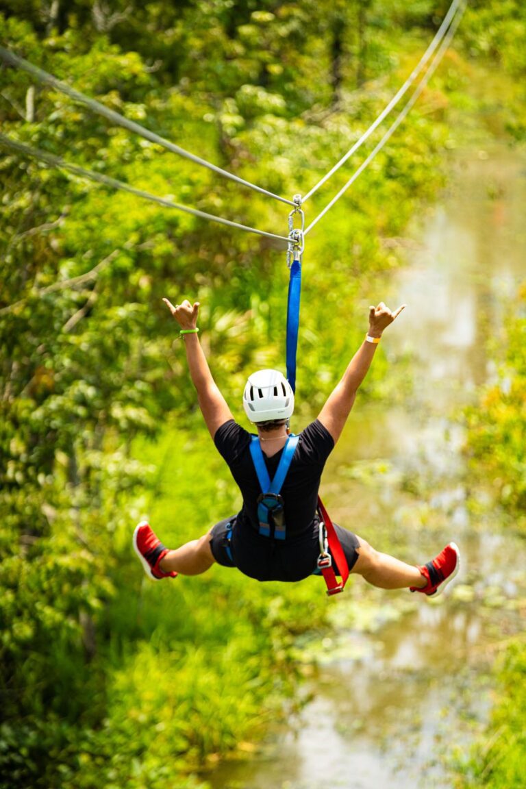 New Orleans Swamp Zipline Adventure | ZIpNola